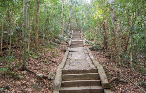 Adventure Tour - Chaaliya