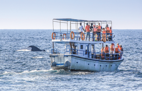 Adventure Tour - Chaaliya