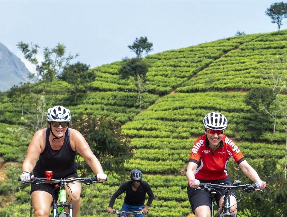 Ceylon Tea Story Trekking - Chaaliya Tours