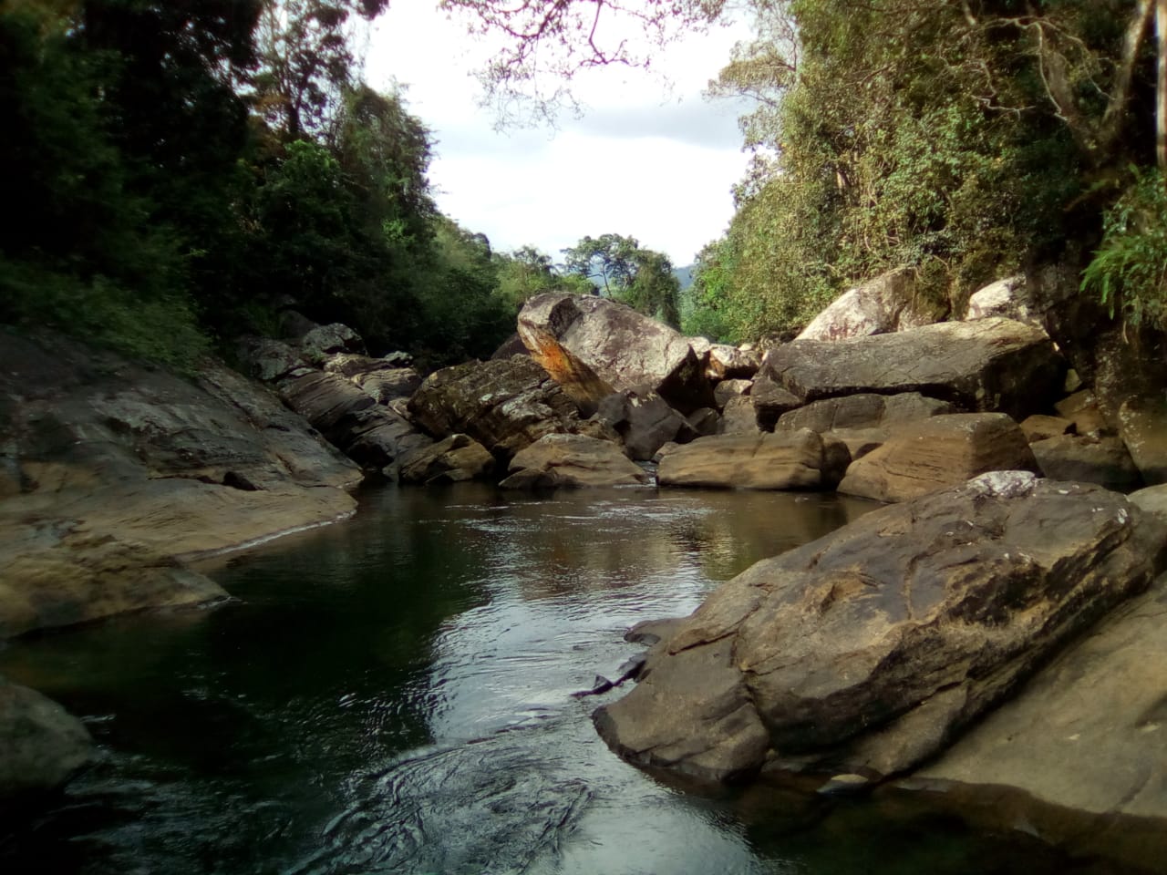 Camping in Knuckles - Chaaliya Tours