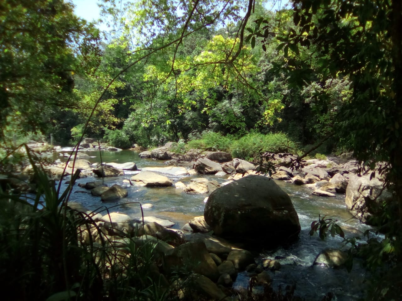 Camping in Knuckles - Chaaliya Tours