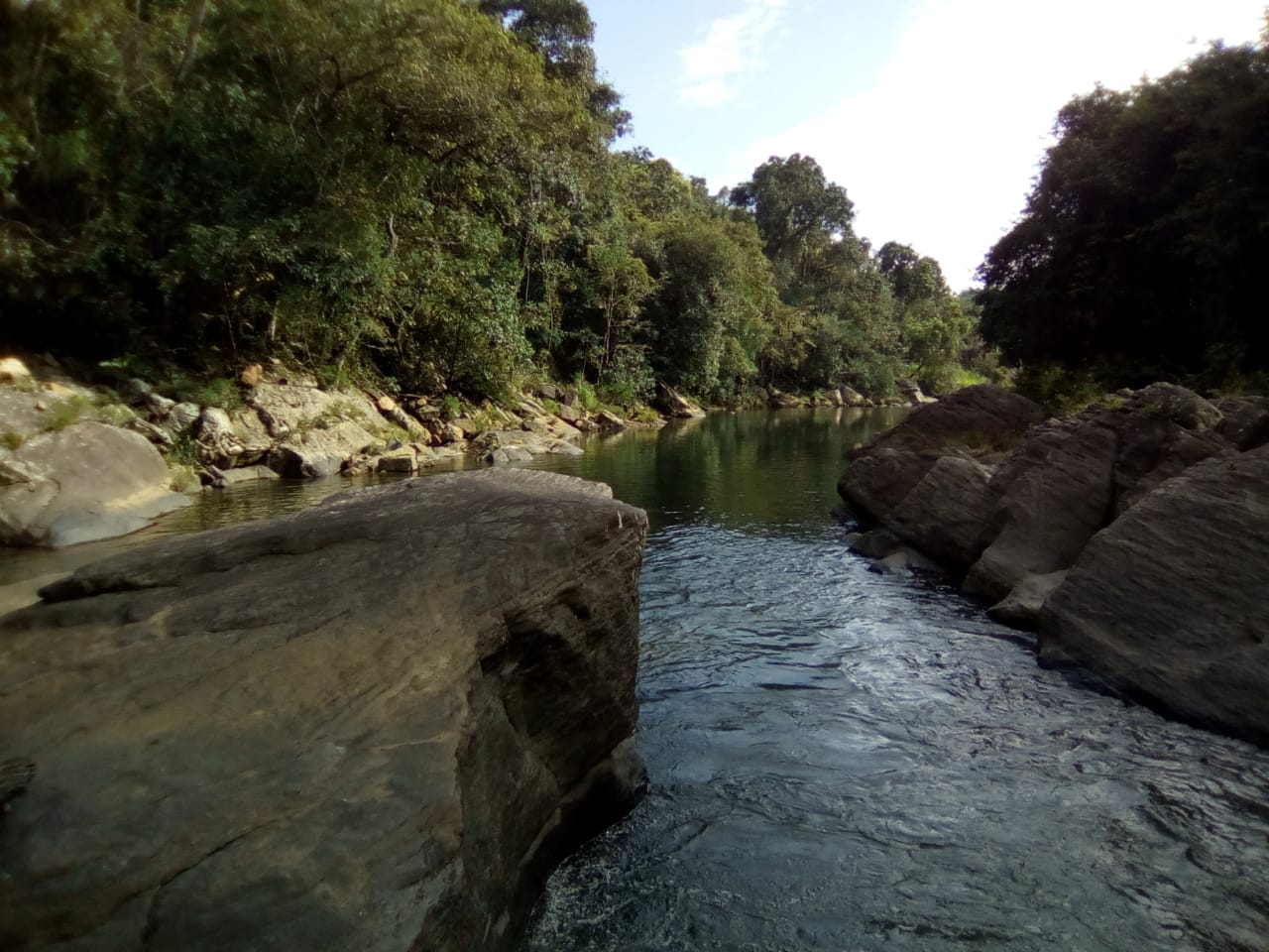 Camping in Knuckles - Chaaliya Tours