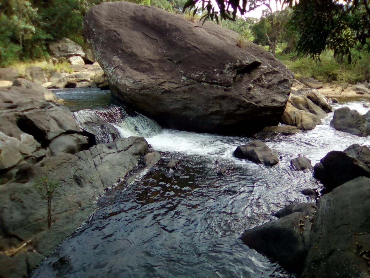 Camping in Knuckles - Chaaliya Tours