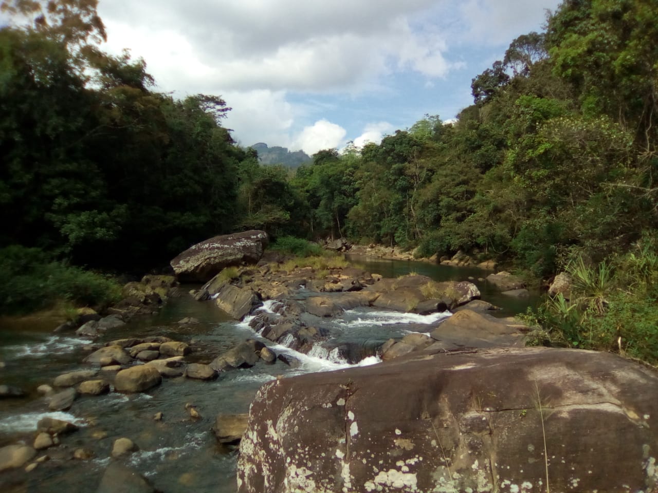 Camping in Knuckles - Chaaliya Tours